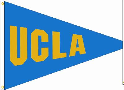 40x60 in UCLA Big 10 Pennant