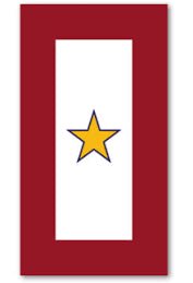 Gold Star Service Banner Magnet