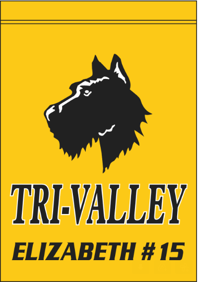 Tri Valley Logo